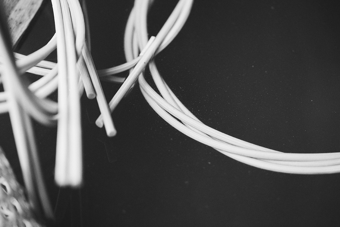 Everything you need to know about… Rattan - Trit The Memo